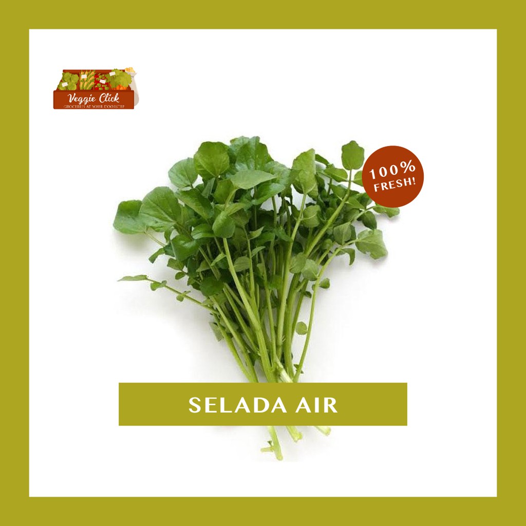 Jual Selada Air Sayuran Segar Kualitas Terbaik | Shopee Indonesia