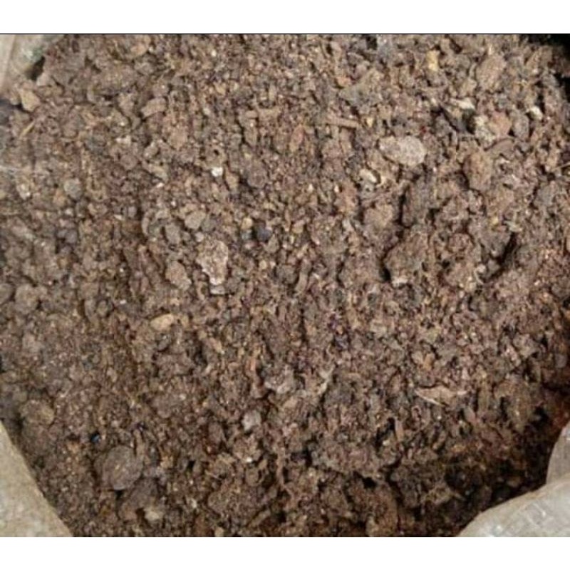 Jual Pupuk Kandang Kohe Kotoran Ayam Kering Pupuk Organik 1 Kg | Shopee ...