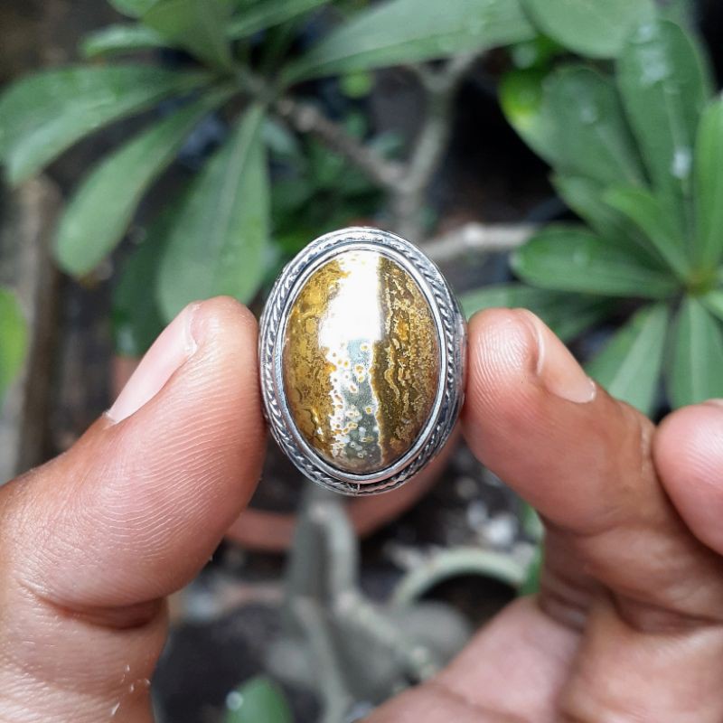 Jual Batu Klawing Kendit Telor Kodok Semi Kristal Serat Mirip Fosil ...