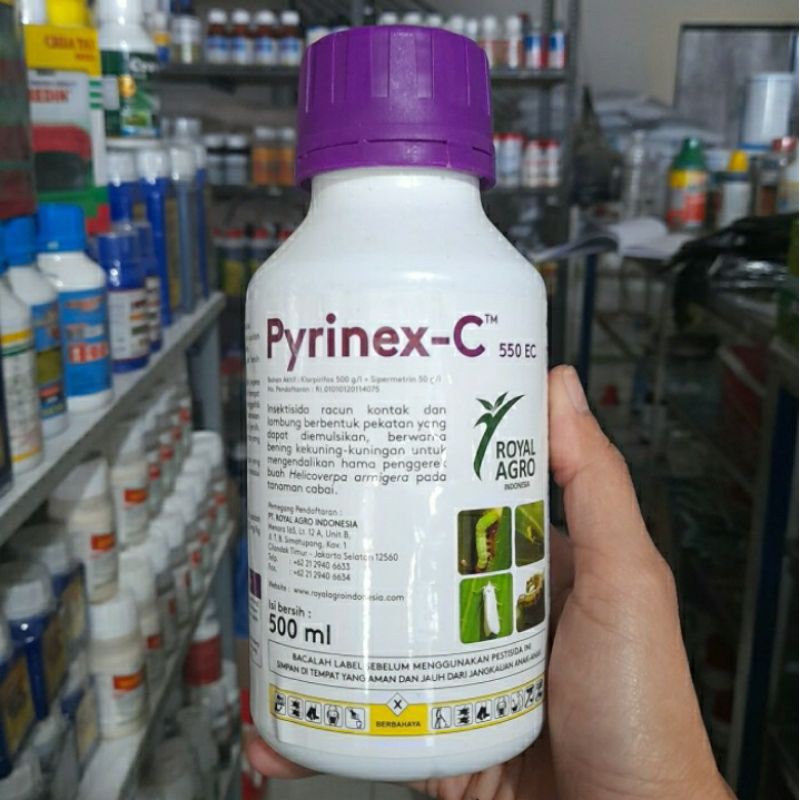 Jual insektisida pyrinex c 550ec 500ml | Shopee Indonesia