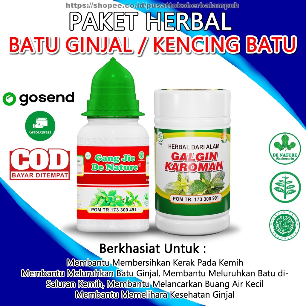 Jual Obat Herbal Ginjal, Batu Ginjal, Kencing Batu Mengobati Masalah Ginjal Galgin Karomah ...