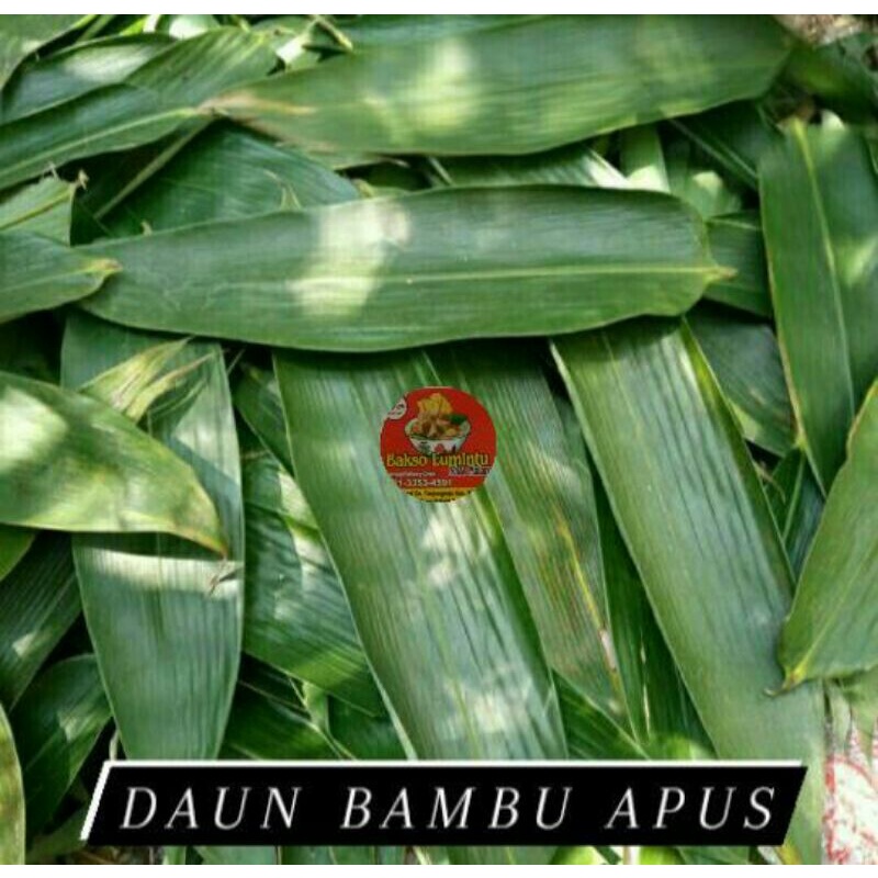 Jual 100 lembar Daun Bambu fres Bungkus Bacang Bakcang , godong pring ...