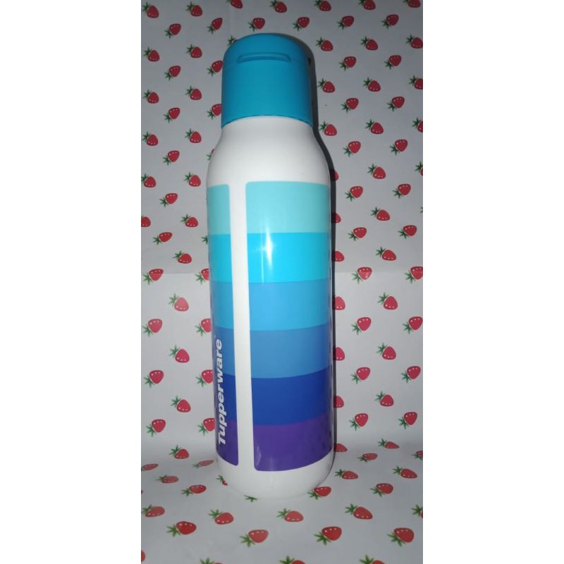 Jual Tupperware ECO Fancy Bottle 750 ml Botol Minum Tupperware | Shopee ...