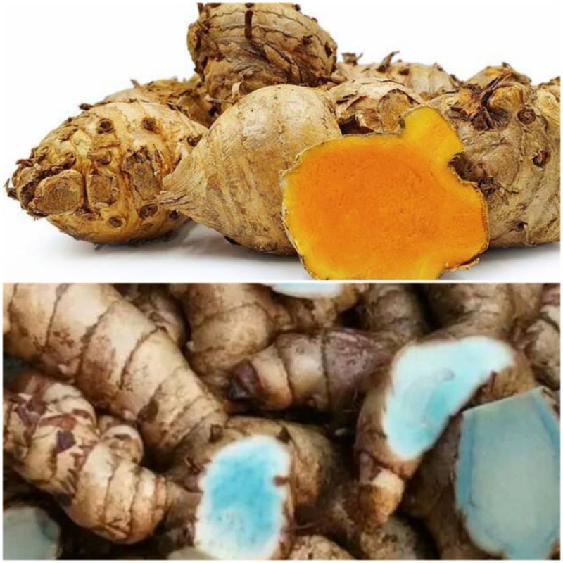 Jual Temulawak / Temu Ireng / Temu Hitam / Berat 1 kg / Bahan Jamu ...