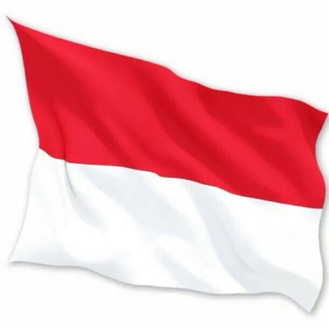 Jual BENDERA MERAH PUTIH BENDERA KAIN INDONESIA MERAH PUTIH & UMBUL ...