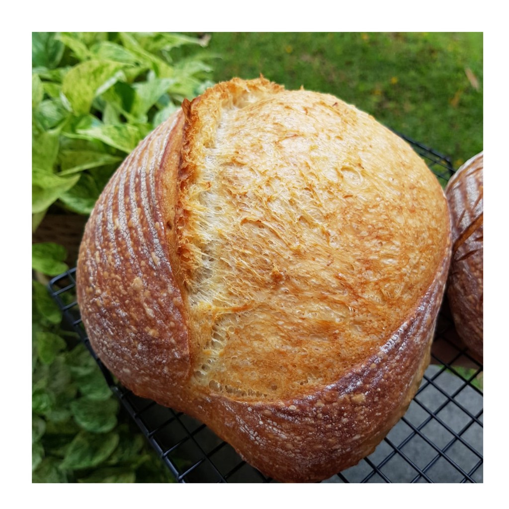Jual SOURDOUGH COUNTRY BREAD PLAIN ROTI SEHAT TANPA PENGEMBANG, PEMUTIH ...
