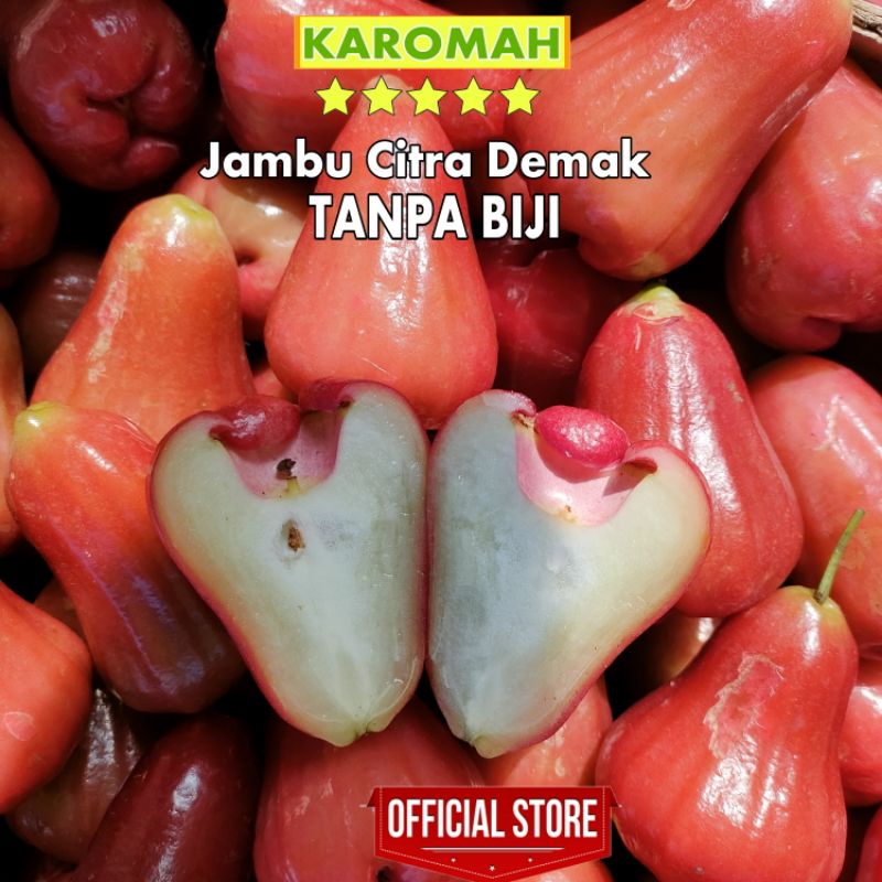 Jual BUAH JAMBU AIR CITRA 1 KG MERAH SUPER MANIS | Shopee Indonesia