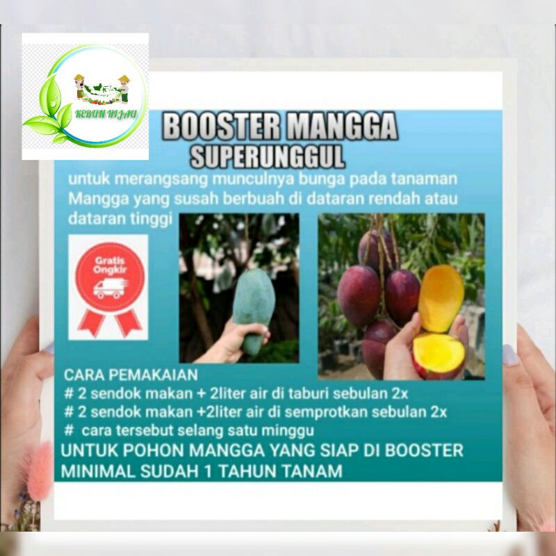 Jual BOOSTER MANGGA PELEBAT POHON BERBUAH SUDAH TERBUKTI | Shopee Indonesia