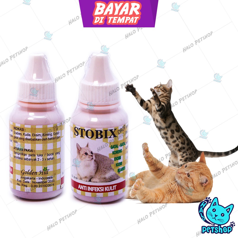Jual STOBIX 30ml Obat Anti Jamur Scabies Koreng Gatal Kucing | Shopee ...