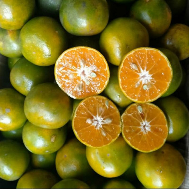 Jual [PROMO] Paket Jeruk Peras 3KG (REGULER & KARGO) | Shopee Indonesia