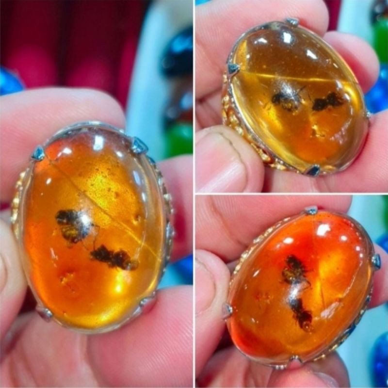 Jual cincin batu getah katilayu emas amber semut | Shopee Indonesia