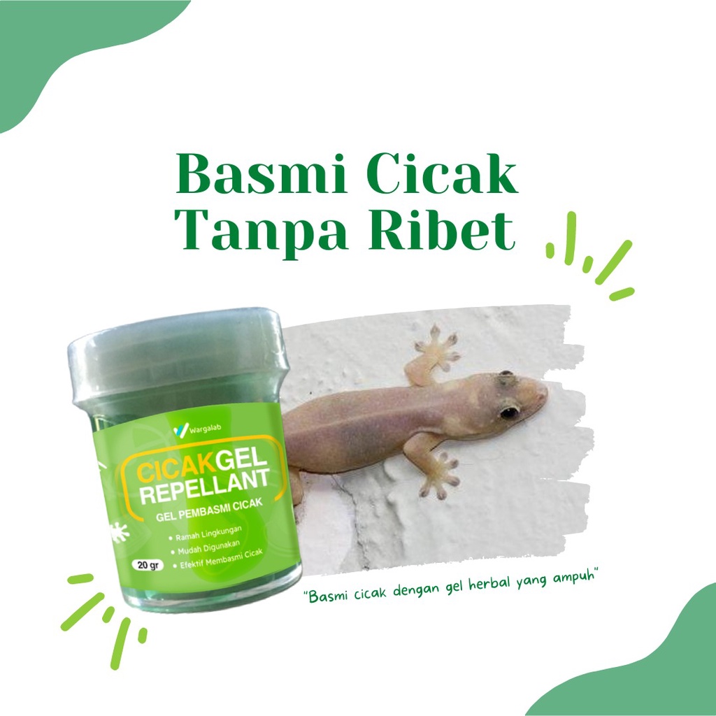 Jual Racun Pembasmi Cicak Obat Pengusir Herbal Cicak dan Tokek Anti ...