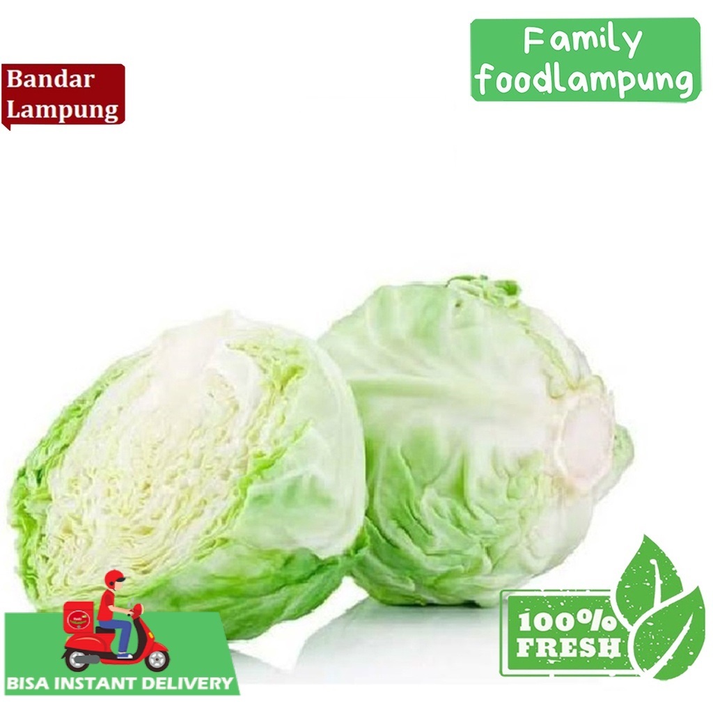 Jual Kol Putih Kubis Sayuran Segar 1 kg Family Food Lampung | Shopee ...