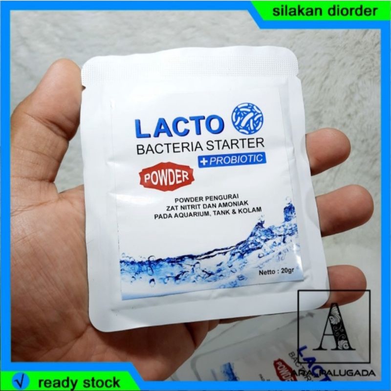 Jual Lacto Bacteria Starter Bakteri Probiotic Powder 20 gram | Shopee ...