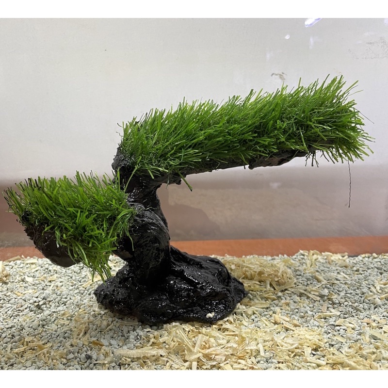 Jual Pohon hiasan aquarium ( pohon mainan ) Pohon Bonsai sintetis ...