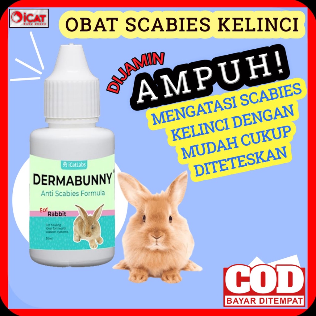 Jual OBAT SCABIES KELINCI OBAT SCRABIES KELINCI OBAT KULIT KELINCI ...