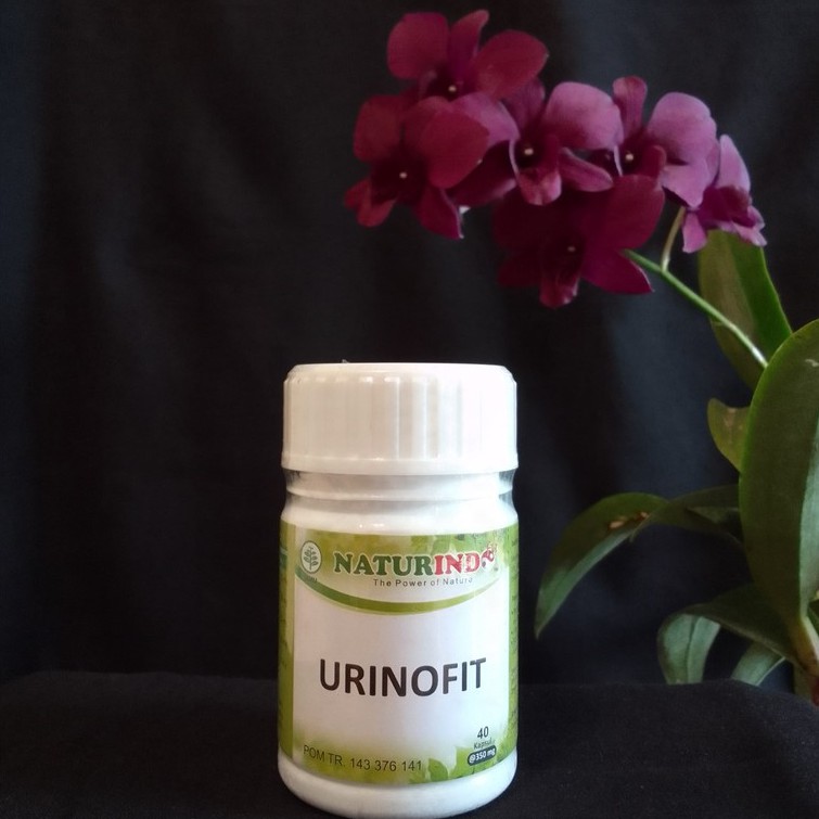 Jual URINOFIT Naturindo (Spesial Ginjal) | Shopee Indonesia