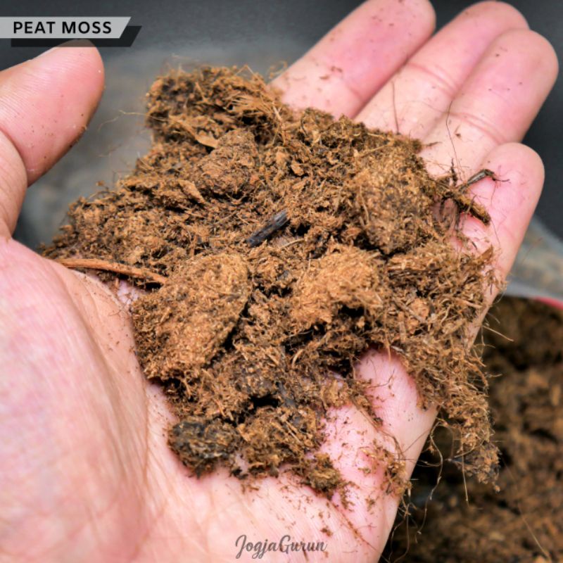 Jual Peat Moss Base Substrate - Klasmann Peatmoss Media Tanam | Shopee Indonesia