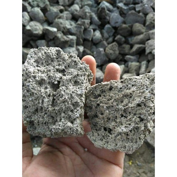 Jual BATU GOMBONG 1KG SIZE L (FILTER BIOLOGIS SUBTITUSI BIO RING, BIO ...