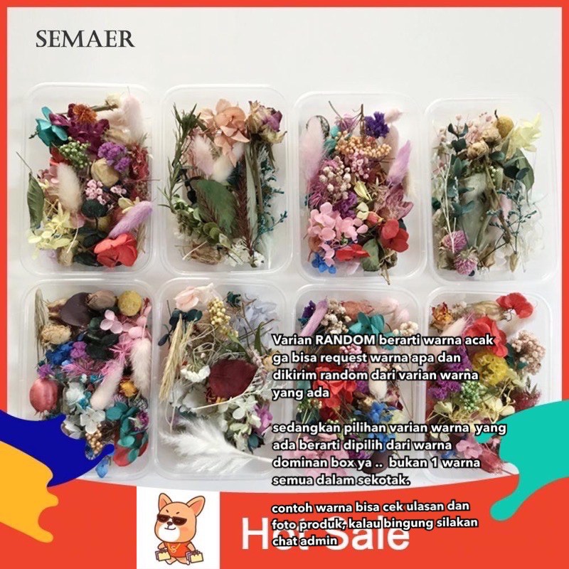Jual 1 kotak bunga kering preserved bunga awet rangkai dried flower DIY ...