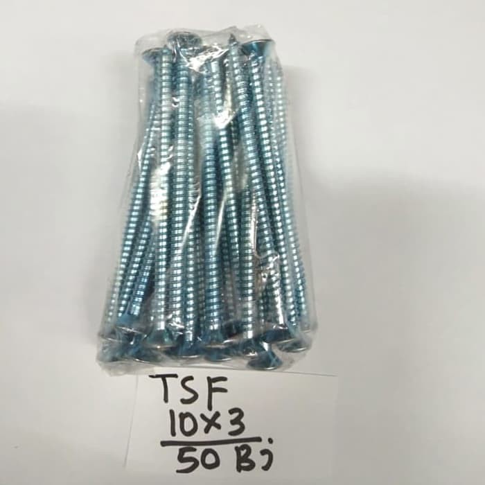 Jual Skrup Kepala Rata 10x3"= 7.5 cm /Sekrup FH10 x 3" Screw tapping 50 ...