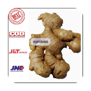 Jual Jahe Gajah Jahe Putih 1kg / Jahe Besa White Ginger | Shopee Indonesia
