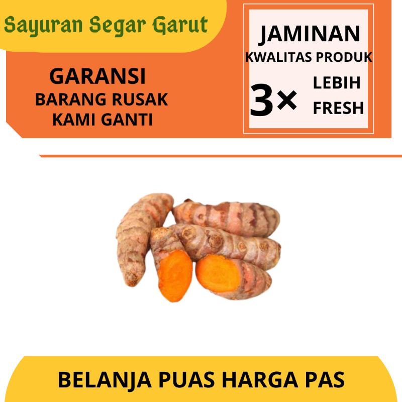 Jual Kunyit/Koneng Gede Bumbu Masak 250gr by Sayuran Segar Garut ...