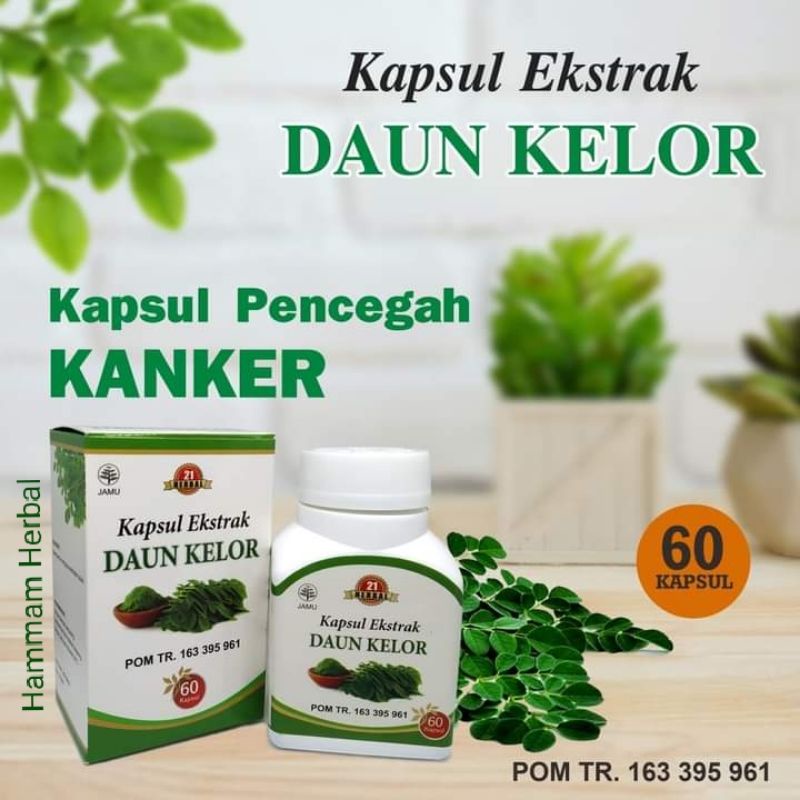 Jual Kapsul Ekstrak Daun Kelor Anti Kanker Anti Inflamasi Peradangan ...