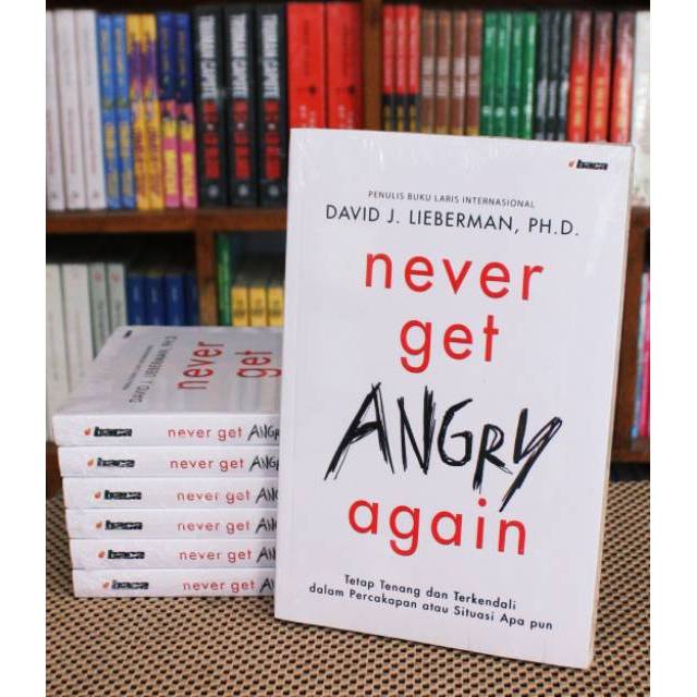 Jual Never Get Angry Again : Tetap Tenang dan Terkendali dalam ...