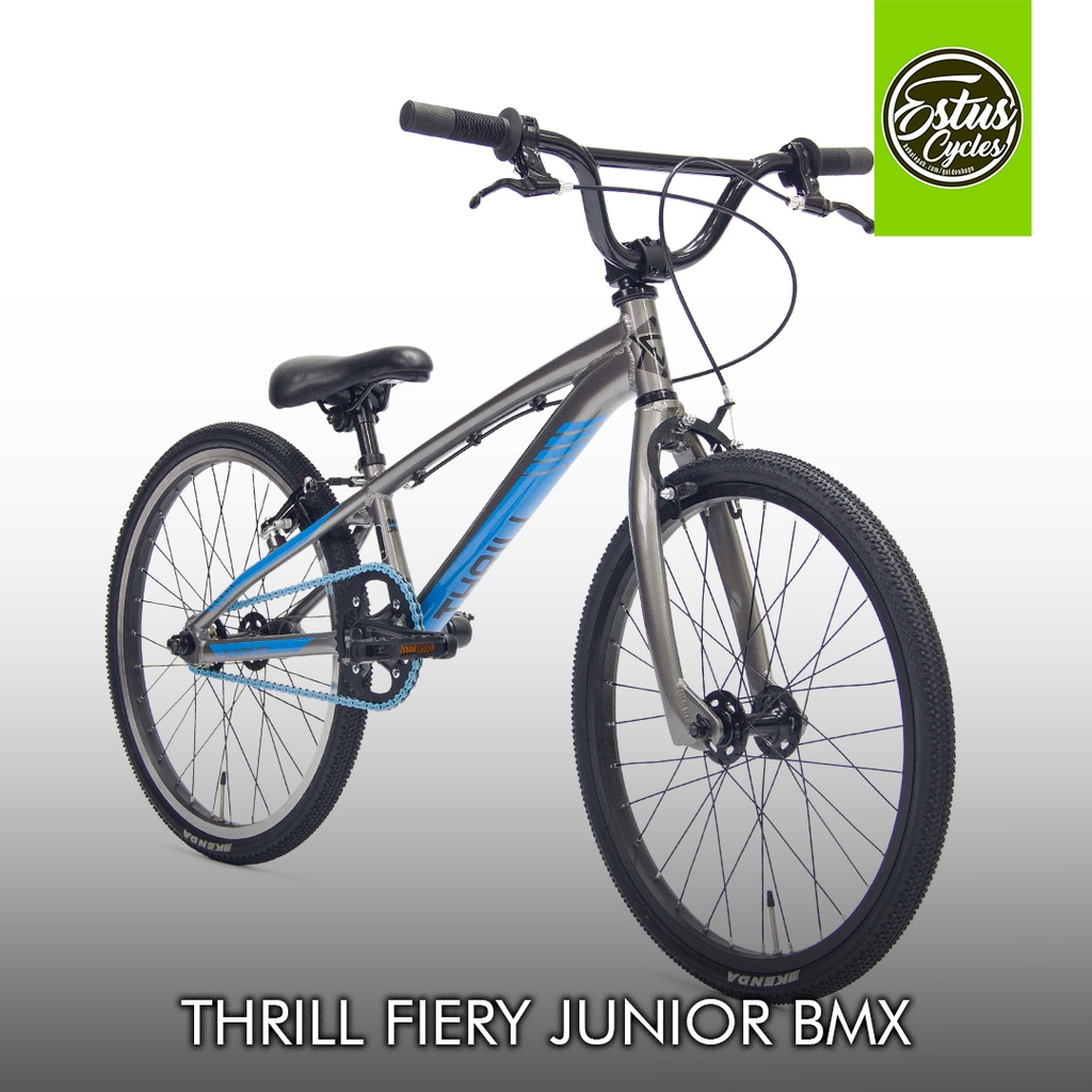 Jual Sepeda BMX Thrill Fiery Junior Race Ready Estus Cycles | Shopee ...