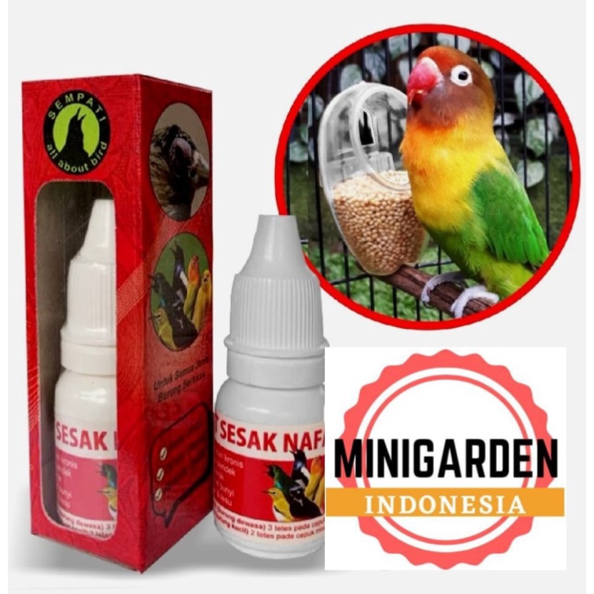 Jual OBAT SESAK NAFAS BURUNG vitamin burung gangguan pernapasan nafas ...