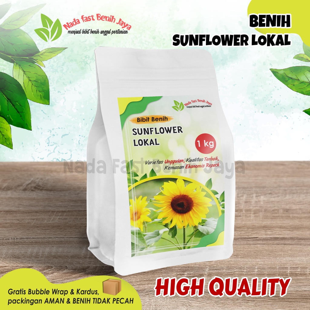Jual Bibit sunflower benih bunga matahari lokal 1 kg / benih tanaman ...