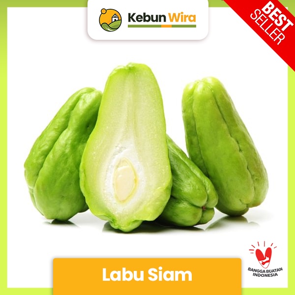 Jual Labu Siam | Gambas 1kg | Shopee Indonesia