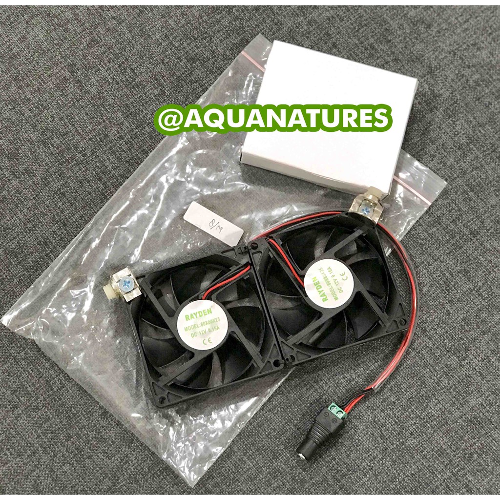 Jual Cooling Fan Double DC 12 Volt Rayden 8cm | Shopee Indonesia