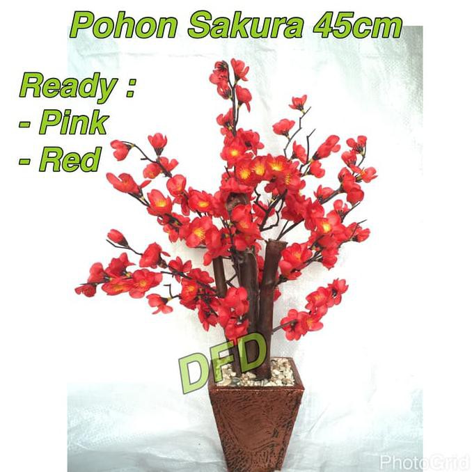 Jual Spirit_Me Pohon Angpao / Bunga Sakura / Meihua ( Uk : 45 Cm ...