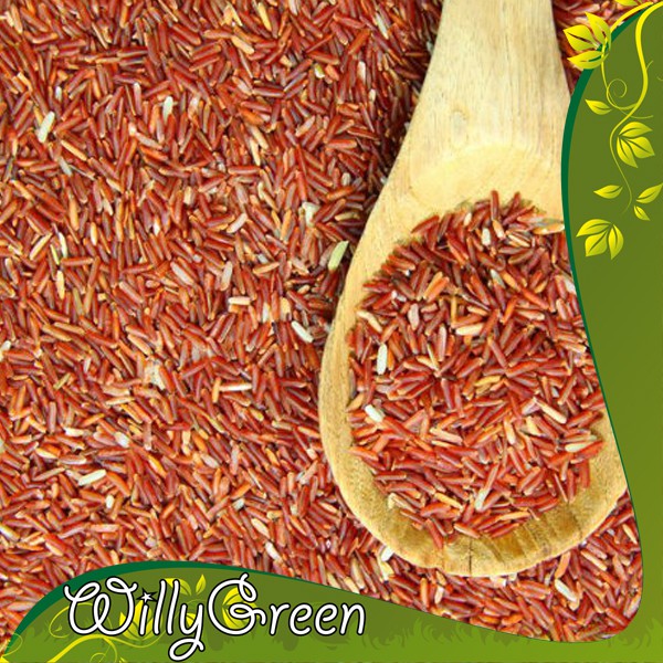 Jual Benih Padi Merah Inpari 24 Siap Tanam | Shopee Indonesia Jual Benih Padi Merah Inpari 24 Siap Tanam | Shopee Indonesia