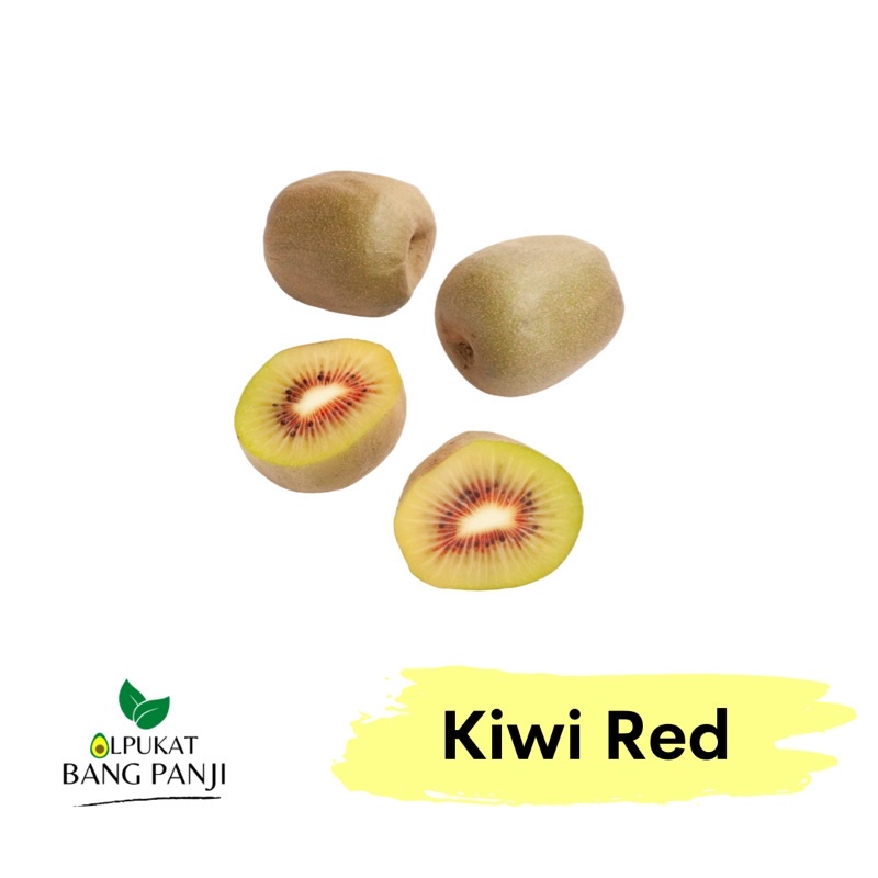 Jual Red Kiwi Pack | Shopee Indonesia