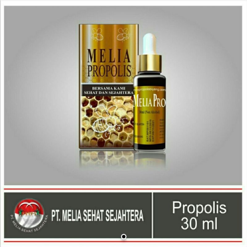 Jual MELIA PROPOLIS 30ML ASLI 100% ORIGINAL TERJAMIN | Shopee Indonesia