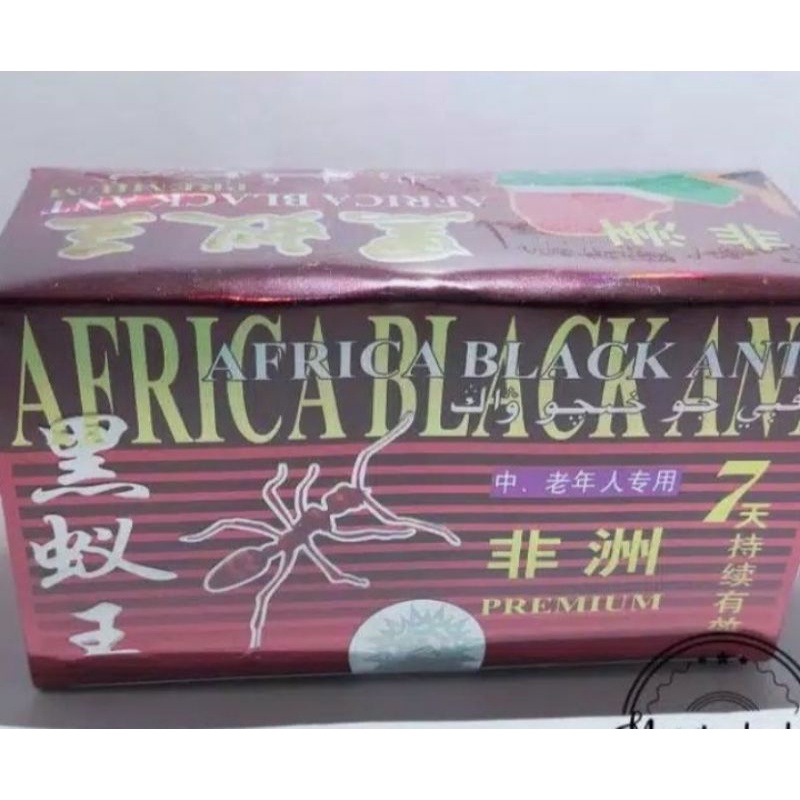Jual Semut Afrika /Afrika black ant isi 15 premium | Shopee Indonesia