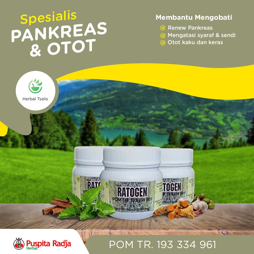 Jual RATOGEN OBAT PANKREAS OTOT RANEW PANKREAS MENGATASI SYARAF SENDI ...