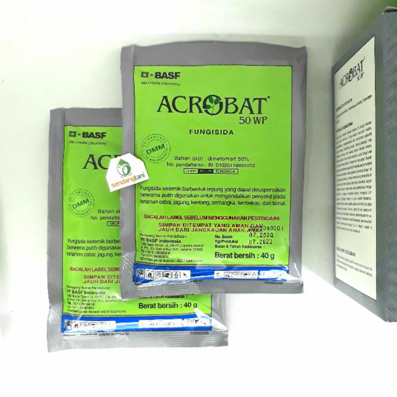Jual ACROBAT 50 WP Fungisida Sistemik Obat Penyakit Jamur Tanaman 40 gram | Shopee Indonesia