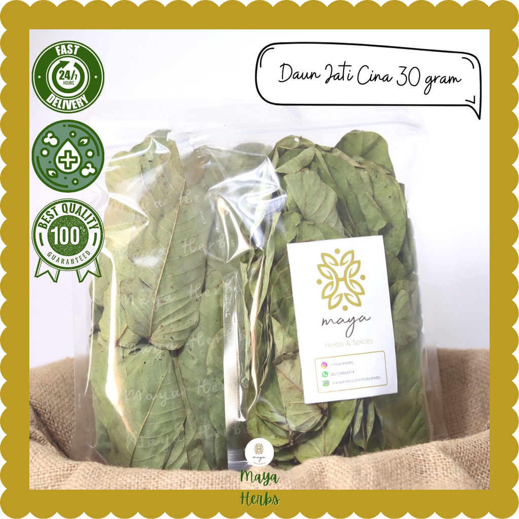 Jual Daun Jati Cina Kering 30 gram ( Daun Senna / Senna Alexandrina ...