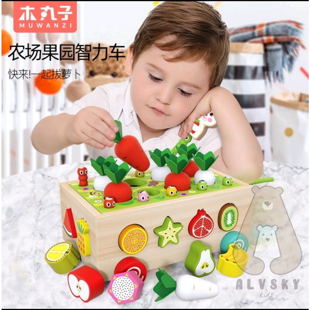 Jual MAINAN EDUKASI ANAK SORTIR BENTUK / WOODEN SHAPE MATCHING CAR ...