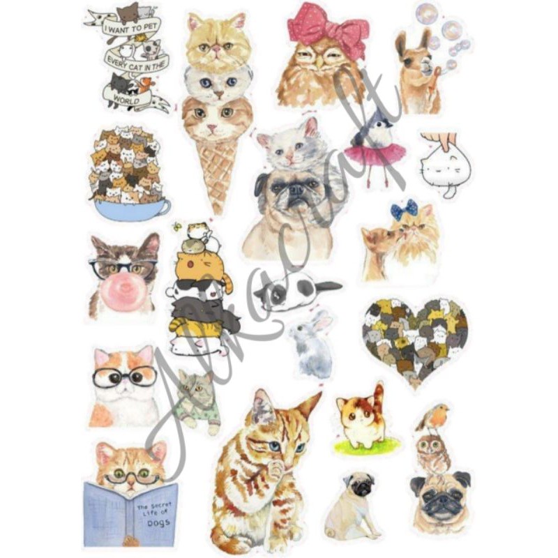 Jual stiker kucing stiker cat stiker planner | Shopee Indonesia