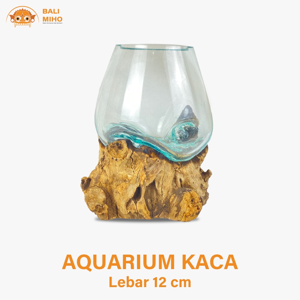 Jual Aquarium Kayu 12 cm - Akuarium Akar - Akuarium Kaca Tiup ...