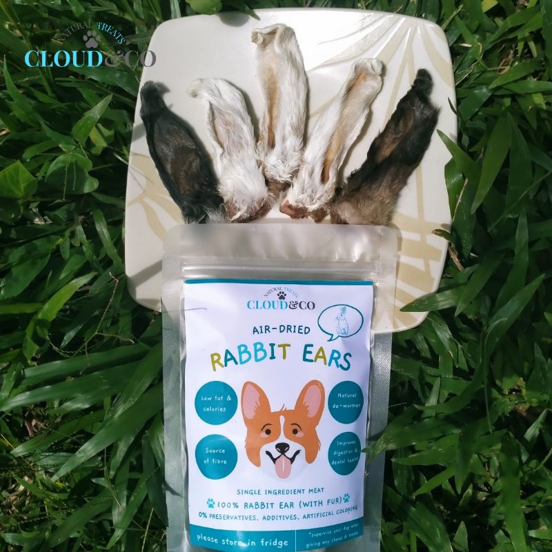 Jual CLOUD & CO | RABBIT EAR - Kuping Telinga Kelinci Jerky Snack ...
