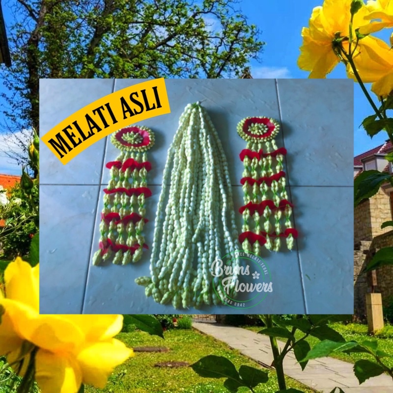 Jual RONCE MELATI ASLI ADAT PALEMBANG | Shopee Indonesia Jual RONCE MELATI ASLI ADAT PALEMBANG | Shopee Indonesia