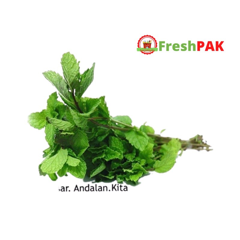 Jual FreshPAK - Daun Mint Fresh 100gr / Sayur Segar / Sayuran Segar ...