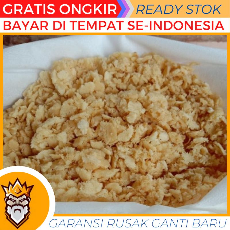 Jual Telur maggot bsf 10 gram budidaya lalat bsf | Shopee Indonesia