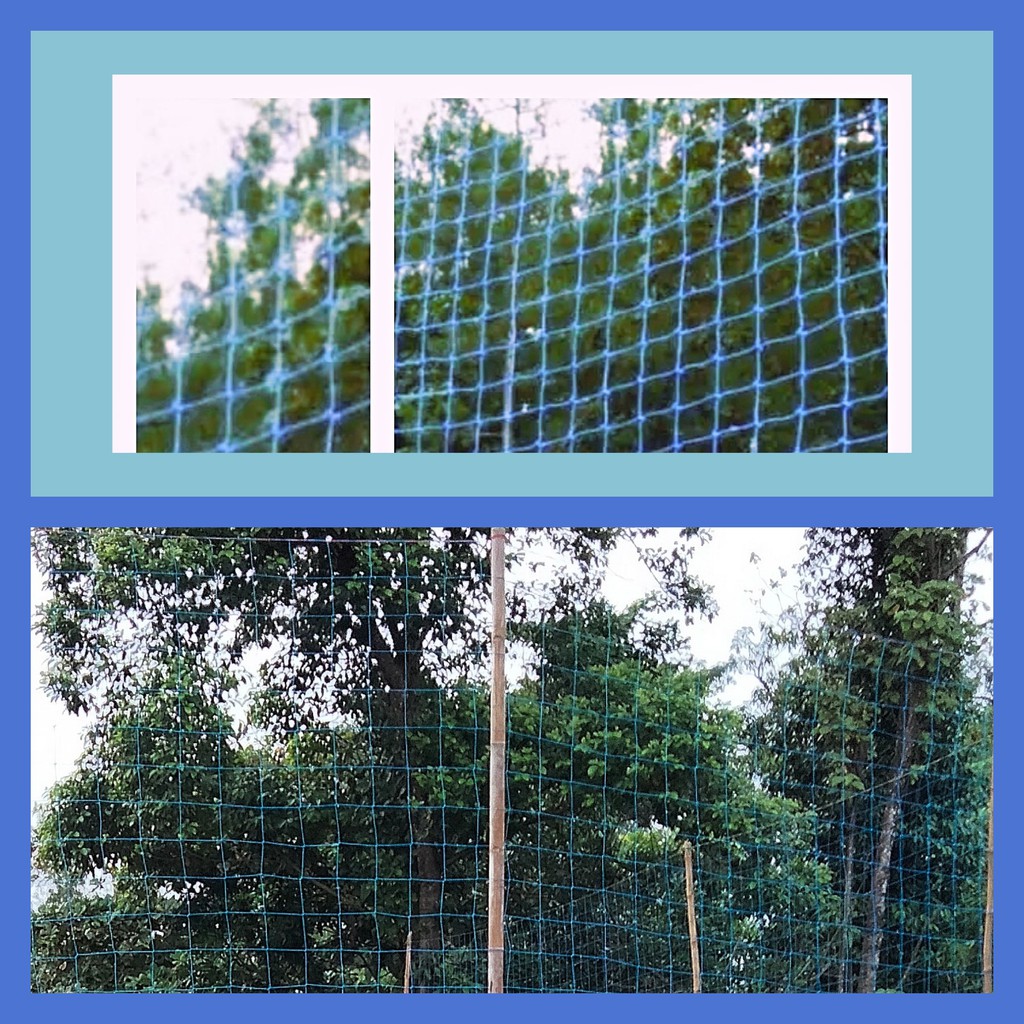 Jual Jaring Pengaman Voli Jaring Pagar lapangan Voly 2mm Jaring ...